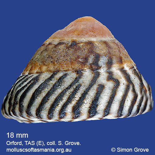 Module 1 Lab Resources - Identification guide